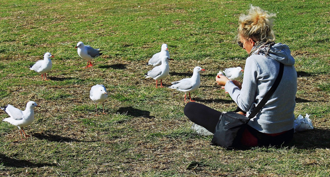 5 easy things you can do to maintain balance in nature - Meenu Arora's Blog